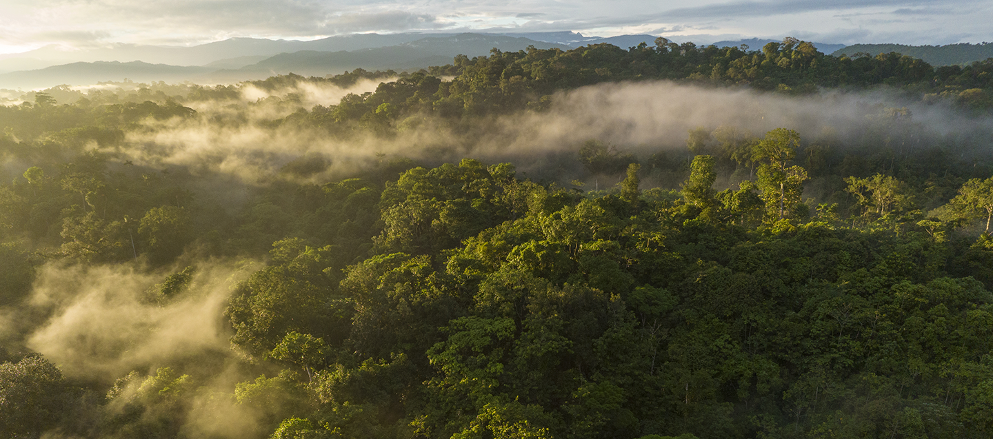 Kawari | High-integrity carbon markets for people and planet.